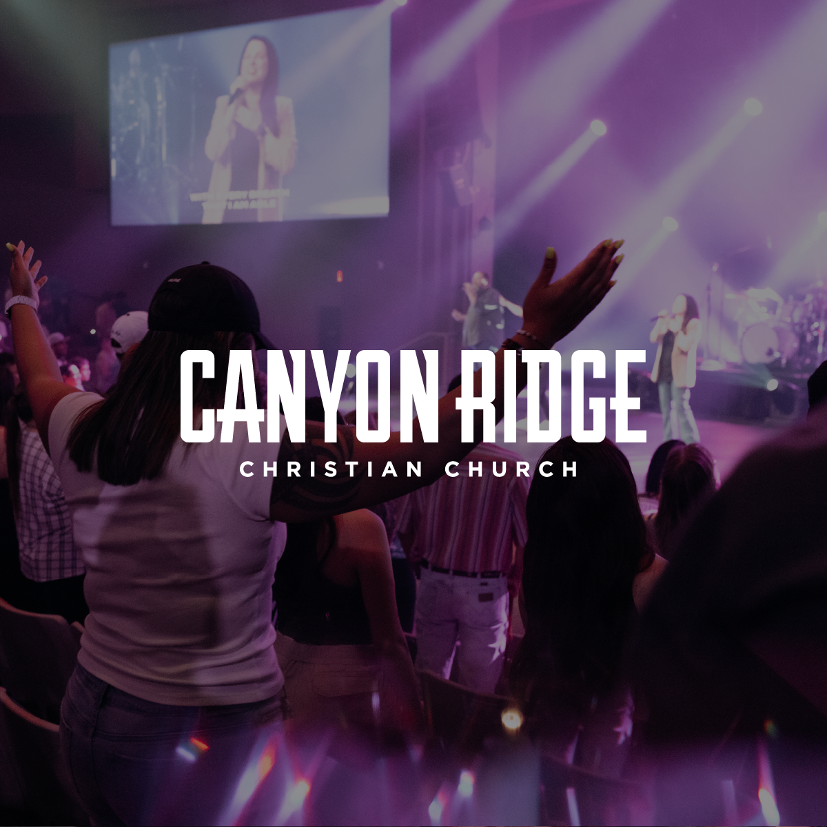 shareimage?v=d26a481a8fb6bba118a67ed6e51284540ffde543